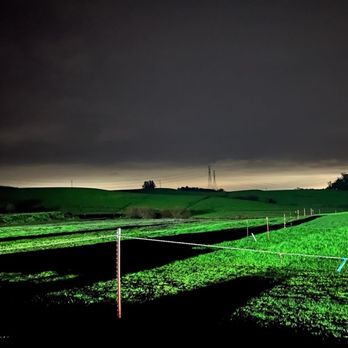 GAMBONINI FAMILY RANCH - Updated October 2025 - 12 Photos - 7149 Old ...