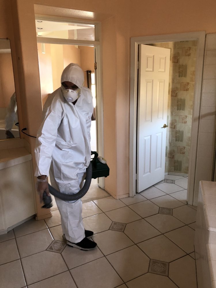 DISINFECTION TEAM - 75 Photos - 9245 Jellico Ave, Northridge ...