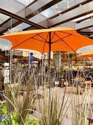 OS NYC - Updated December 2025 - 98 Photos & 36 Reviews - 50 Bowery ...