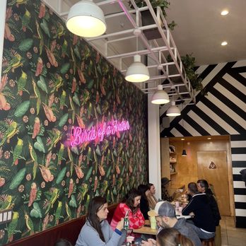 PARAKEET CAFE - Updated May 2024 - 686 Photos & 503 Reviews - 927 ...