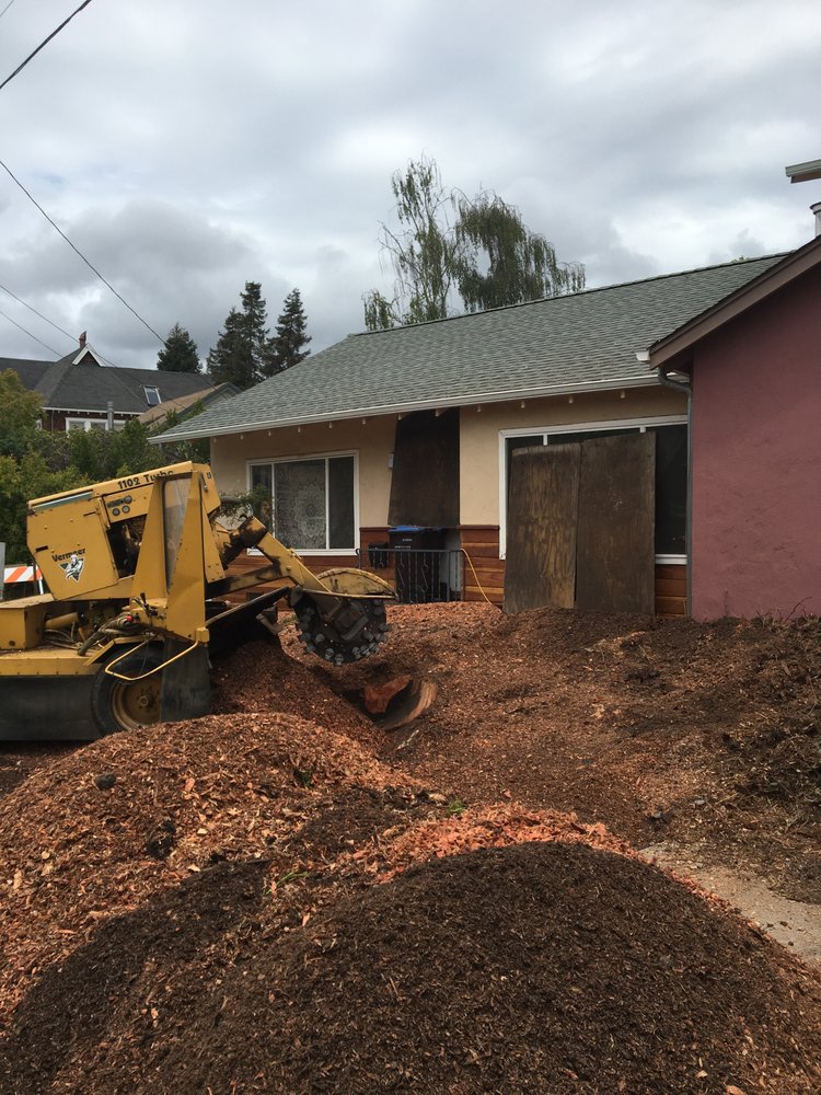 EASLEY TREE & STUMP SERVICE - Updated December 2025 - 13 Photos & 22 ...