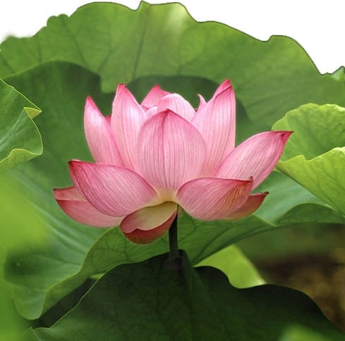 OM AWAY FROM HOME YOGA WITH HEIDI LICHTE - Updated December 2025 - 3232 ...