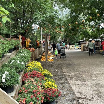 VALA’S PUMPKIN PATCH - Updated September 2025 - 416 Photos & 183 ...