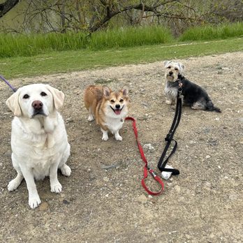 SHADOW CLIFFS REGIONAL RECREATION AREA - Updated November 2025 - 259 ...