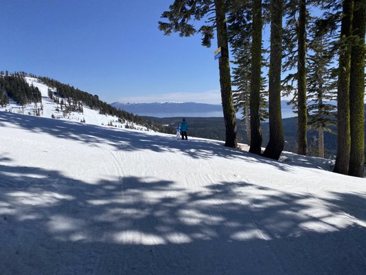 ALPINE MEADOWS SKI RESORT - 132 Photos & 247 Reviews - 2600 Alpine ...