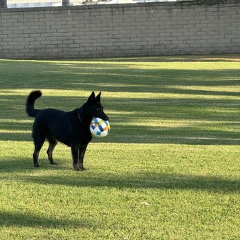 BEACH GARFIELD VETERINARY HOSPITAL - Updated August 2025 - 159 Photos ...
