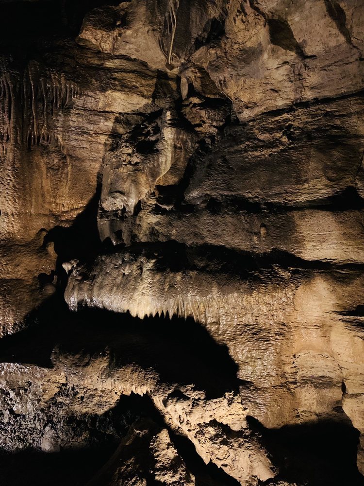 MYSTERY CAVE - Updated October 2025 - 70 Photos & 13 Reviews - 21071 Co ...