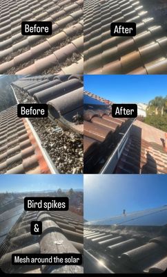 BIRD PROOF - Updated May 2024 - 69 Photos & 35 Reviews - 2194 Mozart ...