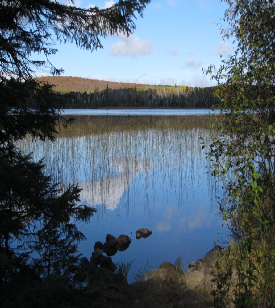 NEUROCARE CENTER - Updated December 2025 - 22 Reviews - 4105 Holiday St ...