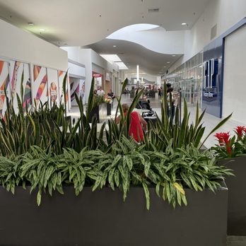 WESTGATE CENTER - Updated September 2025 - 128 Photos & 171 Reviews ...