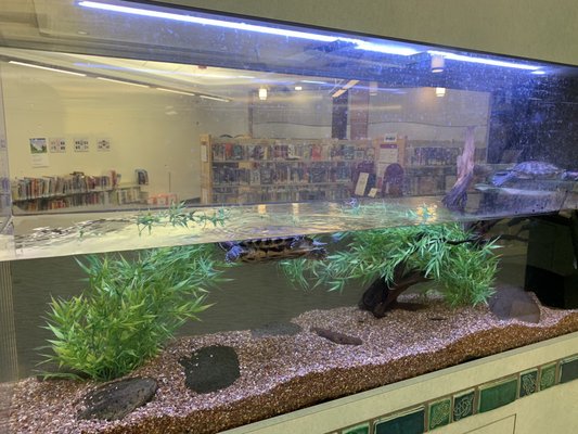 KENT DISTRICT LIBRARY - EAST GRAND RAPIDS BRANCH - Updated December ...