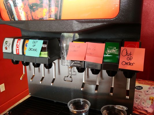 DOGOS VIP - Updated October 2025 - 112 Photos & 74 Reviews - 6125 ...