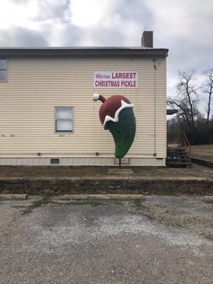 WORLDS LARGEST CHRISTMAS PICKLE - Updated December 2025 - 11 Photos ...