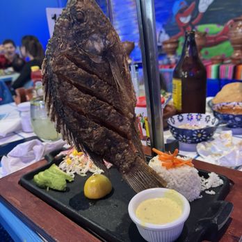 EL CEVICHERO CANTINA - Updated November 2024 - 97 Photos & 38 Reviews ...