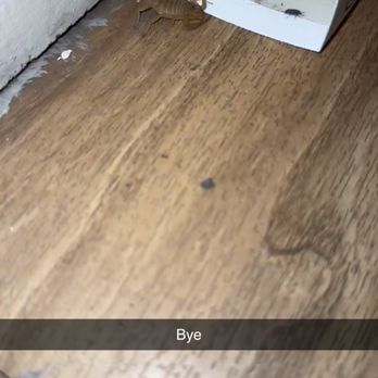 REDPOINT TEMPE - Updated January 2026 - 67 Photos & 92 Reviews - 708 S ...