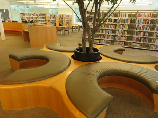 MCGOVERN STELLA LINK NEIGHBORHOOD LIBRARY - Updated May 2025 - 64 ...