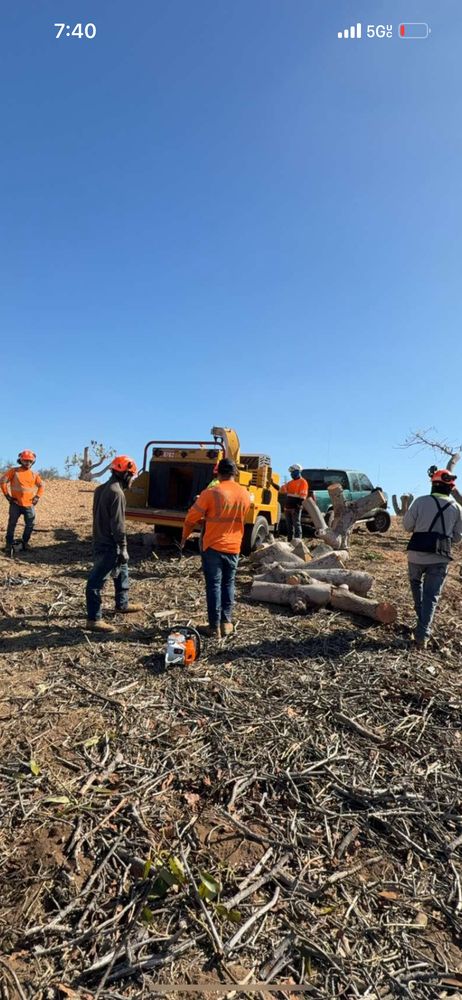 ENVIRONMENTAL TREE SERVICE & LANDSCAPE - Updated March 2025 - Request a ...