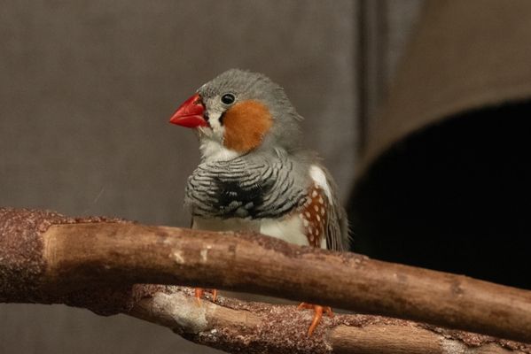 THE BUTTERFLY PLACE - Updated December 2025 - 320 Photos & 111 Reviews ...