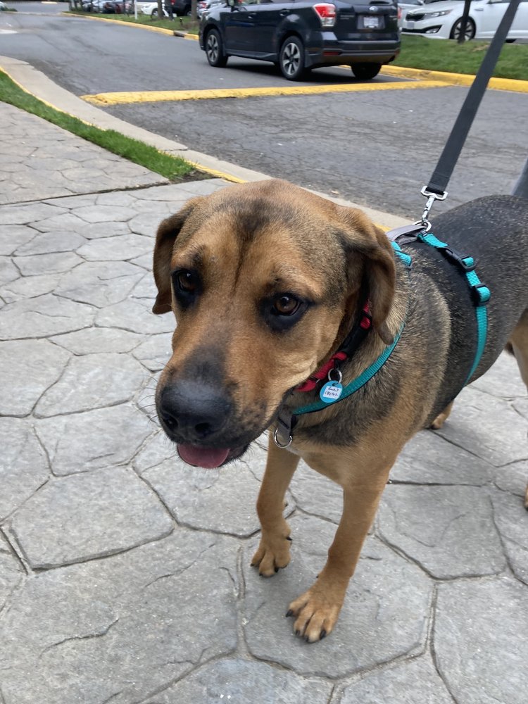 CLIFTON-CENTREVILLE ANIMAL CLINIC - Updated October 2025 - 16 Photos ...