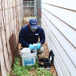 PARAGON PEST CONTROL - Updated March 2025 - 212 Photos & 69 Reviews ...