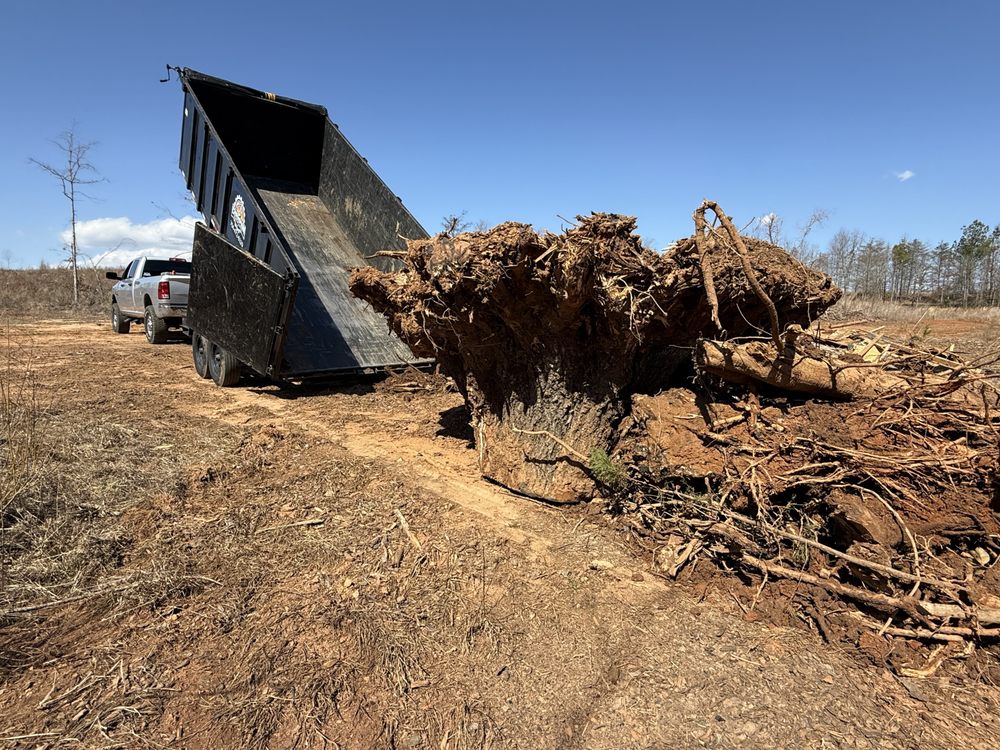 FOOTHILLS LAND SOLUTIONS - Updated November 2025 - 53 Photos - 1024 Sam ...