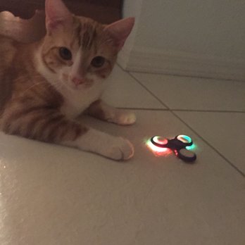 SUNCOAST HUMANE SOCIETY - Updated December 2025 - 13 Photos & 21 ...