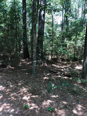 DIXIE FARM ROAD PARK - 34 Photos - Blackhawk Blvd & Dixie Farm Rd ...