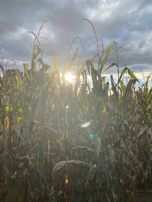 FENDER’S FARM - Updated October 2025 - 22 Photos - 254 Hwy 107 ...