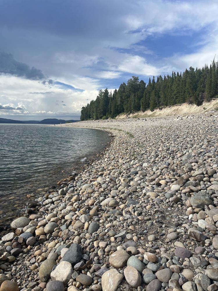 COLTER BAY CAMPGROUND - 28 Photos & 14 Reviews - 100 Colter Bay ...