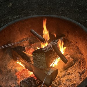 LAKE TRASK TIMBER TRAILS ASSOCIATION - Updated May 2025 - 15 Photos ...