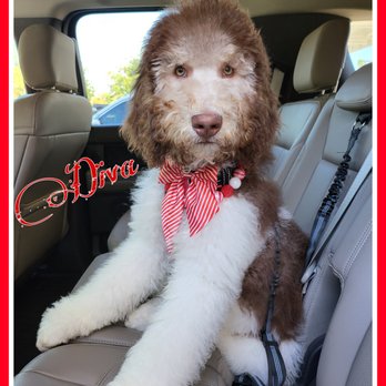 SNICKERSDOODLES - Updated October 2025 - 69 Photos & 37 Reviews - Weir ...