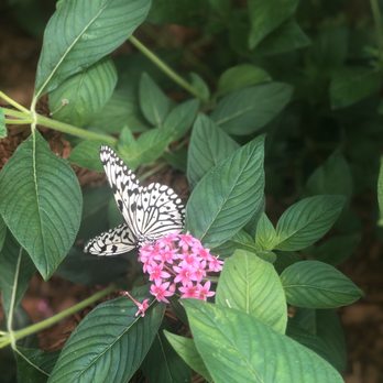 PERRY’S CAVE - Updated January 2026 - 115 Photos & 36 Reviews - 979 ...