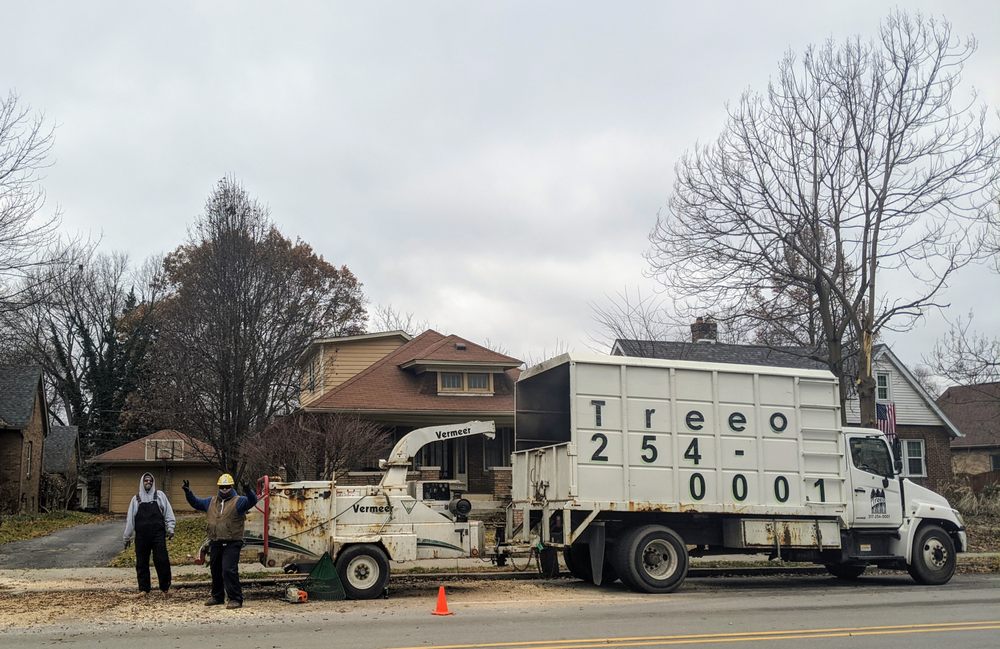 TREEO TREE SERVICE - INDIANAPOLIS - Updated December 2025 - 13 Photos ...