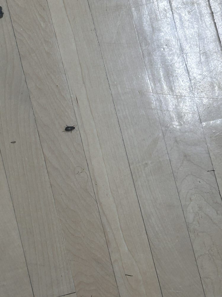 WELLBORN MIDDLE SCHOOL - Updated April 2025 - 15510 Royder Rd, College ...