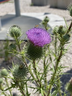 AWAKON SCULPTURE PARK - Updated July 2025 - 46 Photos - 20855 ...