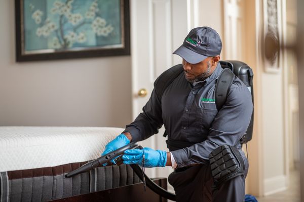 WESTERN EXTERMINATOR COMPANY - Updated January 2026 - 29 Photos & 45 ...