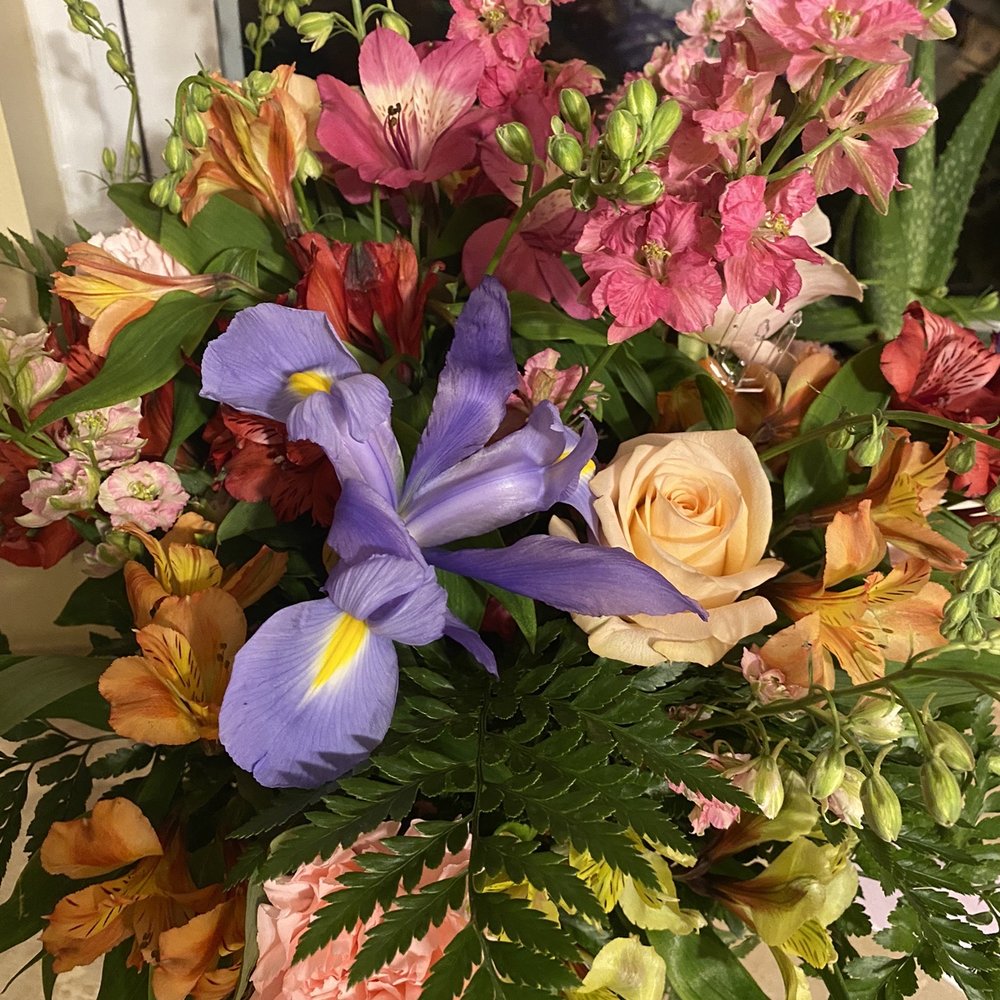 Harrison S Flowers And Gifts New Bloomfield Pa | Best Flower Site