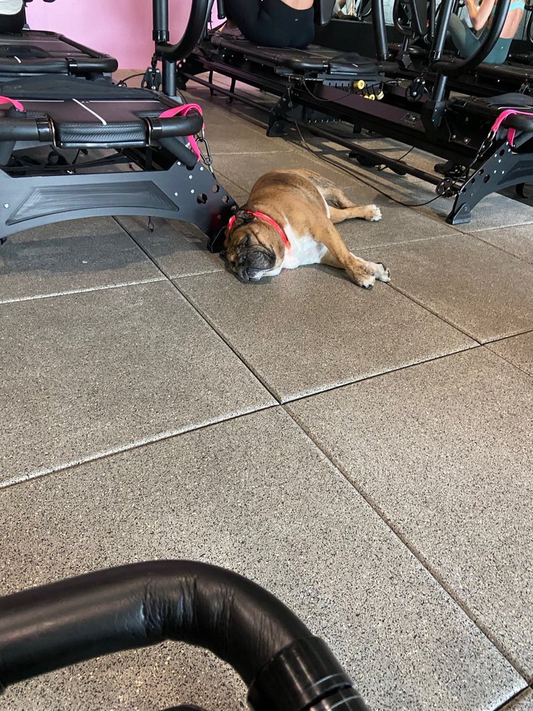 FORM LAGREE - Updated July 2024 - 28 Photos & 36 Reviews - 2800 Kirby ...