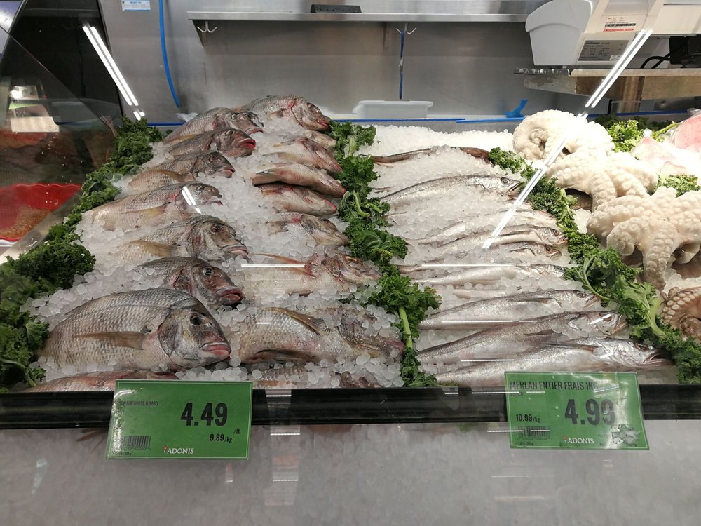 ADONIS - 18 Photos & 18 Reviews - 225 Rue Peel, Montréal, Quebec ...