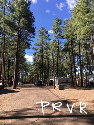 PONDEROSA RV RESORT - Updated November 2025 - 1664 Ponderosa Ln ...