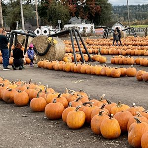 SPOONER FARMS - 84 Photos & 72 Reviews - 9710 State Rte 162 E, Puyallup ...