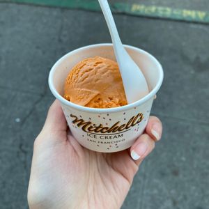 MITCHELLS ICE CREAM - 3401 Photos & 4721 Reviews - 688 San Jose Ave ...