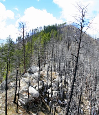 WELCOME CREEK WILDERNESS - Updated August 2025 - Rock Creek Rd, Clinton ...