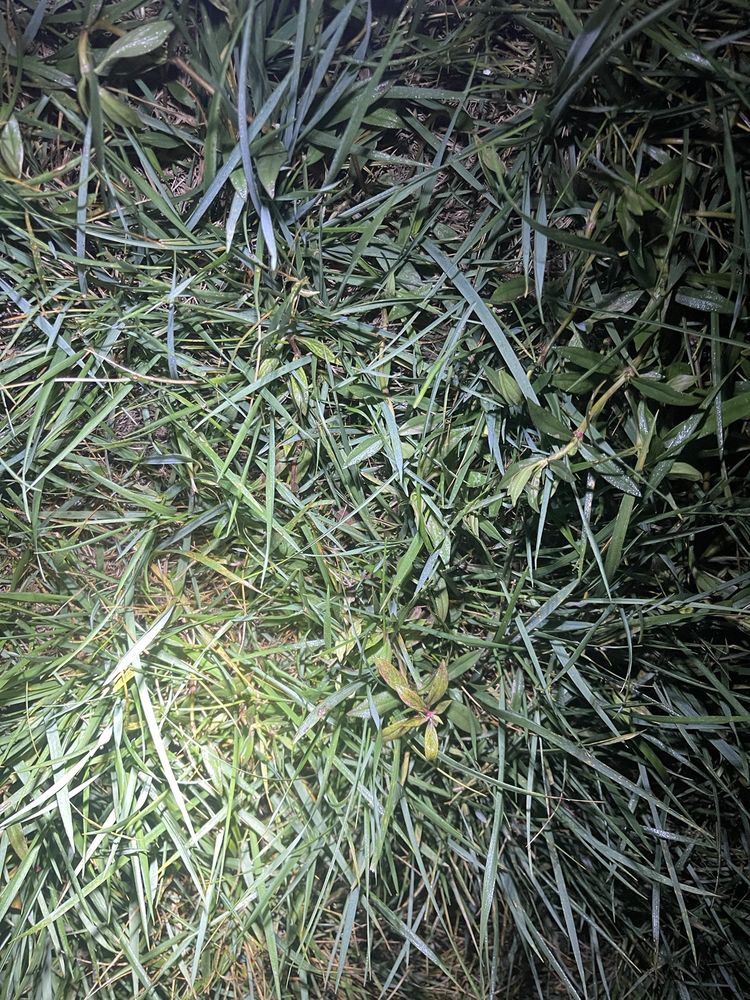 EASTERN TURF MAINTENANCE - Updated September 2024 - 25 Photos & 27 ...