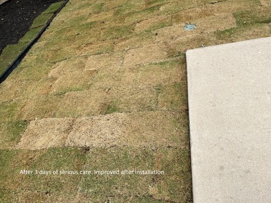 KING RANCH TURFGRASS - Updated December 2025 - 26 Photos & 65 Reviews ...