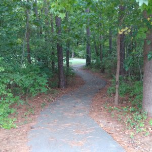 DUKE PARK - 20 Photos - Playgrounds - 1500-1598 Acadia St, Durham, NC ...