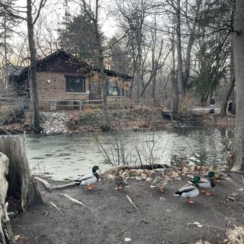 SPRING VALLEY NATURE CENTER & HERITAGE FARM - Updated January 2026 ...