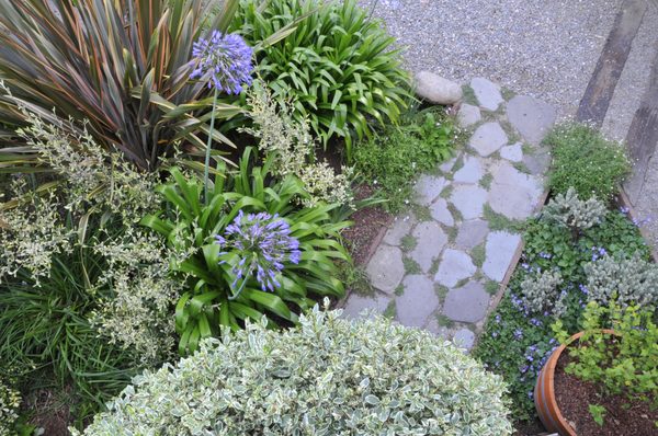 THE FOXY GARDEN LANDSCAPE DESIGN - Updated August 2025 - 27 Photos ...