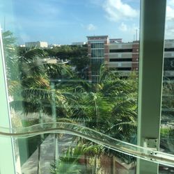 FLORIDA ATLANTIC UNIVERSITY - 121 Photos & 52 Reviews - Colleges ...