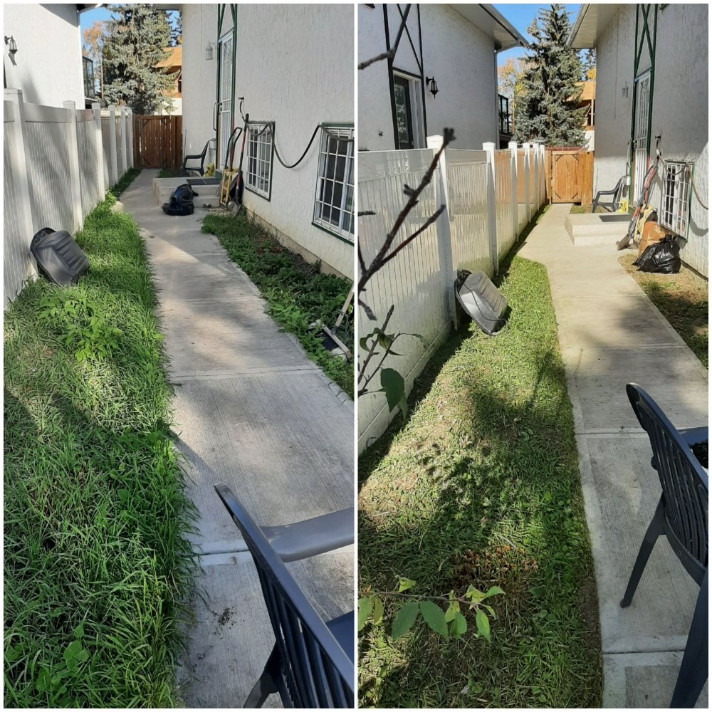 MT LANDSCAPING AND MAINTENANCE - Updated November 2024 - Request a ...